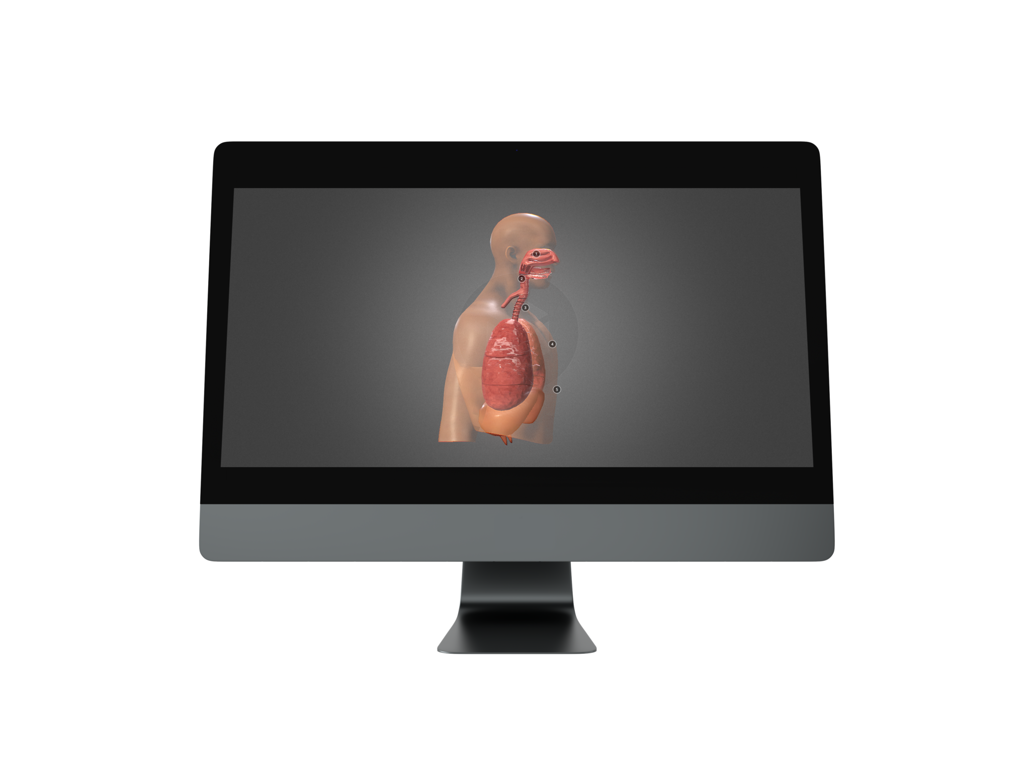 Biology Plus – Edco Books and Programmes