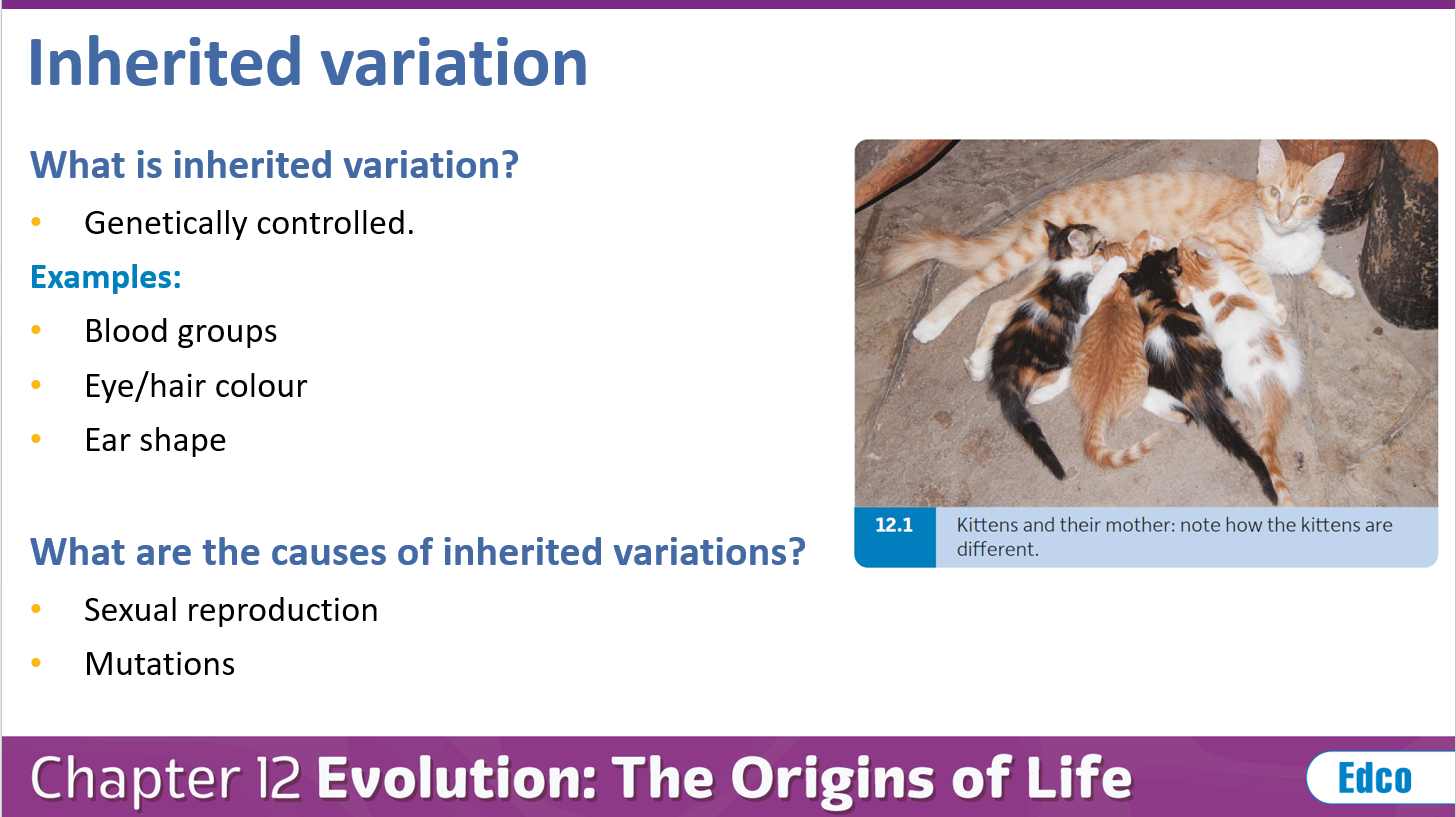 Biology Plus Digital – Edco Books and Programmes