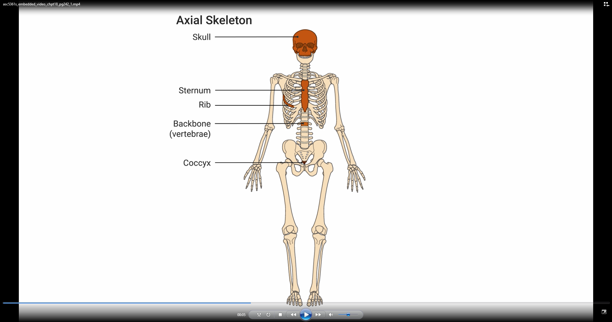Biology Plus Digital – Edco Books and Programmes