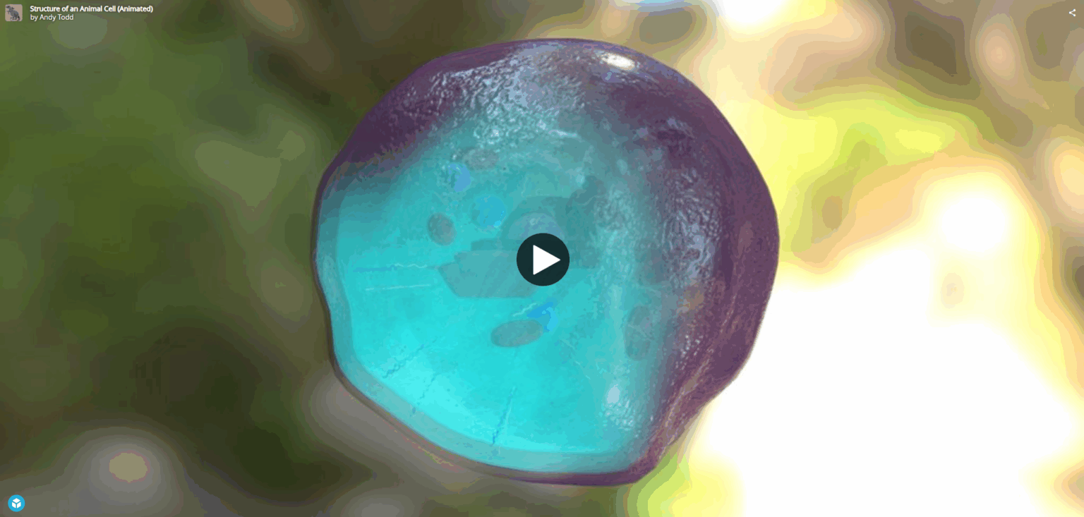 Biology Plus Digital – Edco Books and Programmes